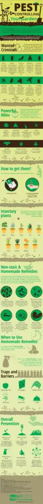 Natural Garden Pest Control Methods - A Beginner's Guide