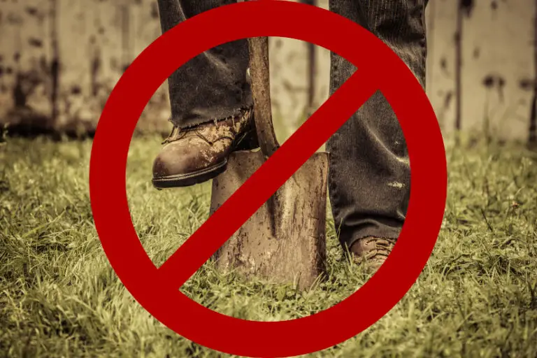 No Dig Garden: Suitable Alternative to Traditional Gardening